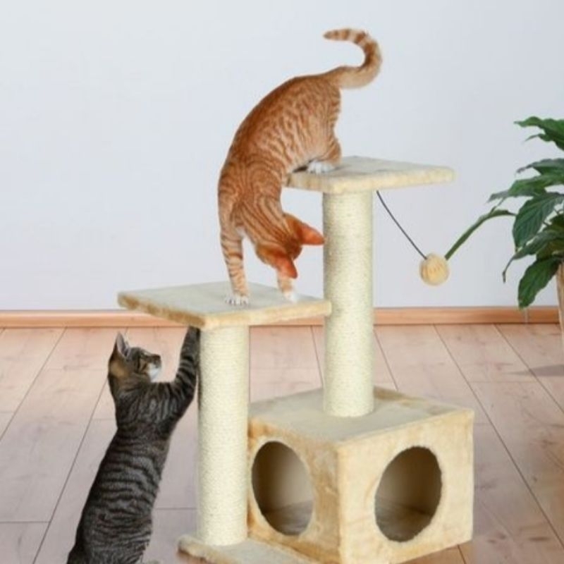 Jual Best seller Rumah kucing tinggal pakai(bukan knockdwon) Rumah ...