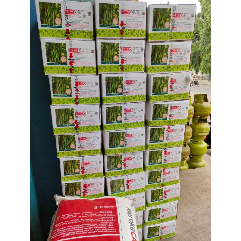 Jual Benih Buncis Logawa Cap Panah Merah | Shopee Indonesia