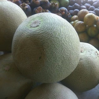 Jual Melon 1 Kg Terlengkap & Harga Terbaru Mei 2024 | Shopee Indonesia