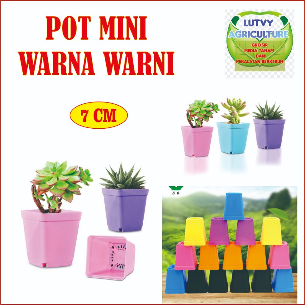 Jual POT MINI WARNA WARNI 7 CM | Shopee Indonesia