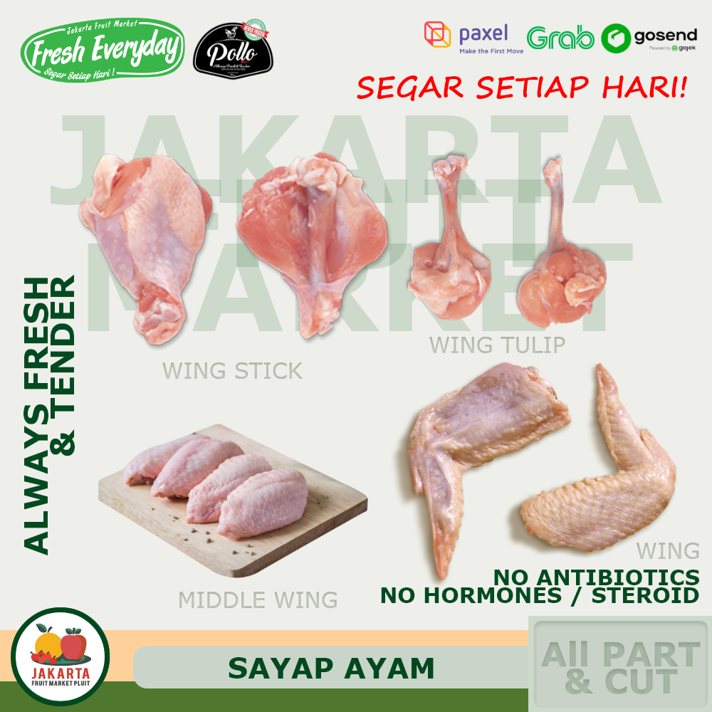 Jual SAYAP AYAM POLLO / Chicken Wings / Middle wing / Tulip / Stick ...