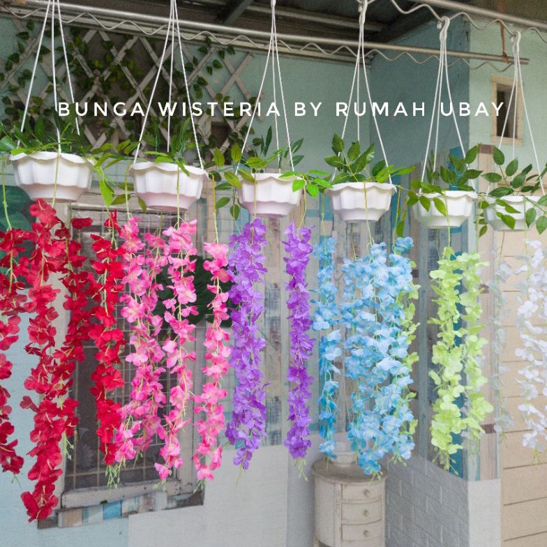Jual Harga TERMURAAH [COD] Bunga WISTERIA JUMBO + POT GANTUNG 7MG ...