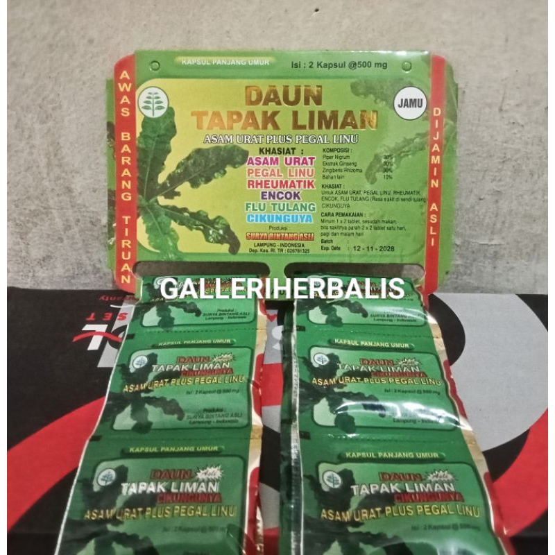 Jual Daun Tapak Liman Kapsul Asam Urat Pegal Linu Original Shopee