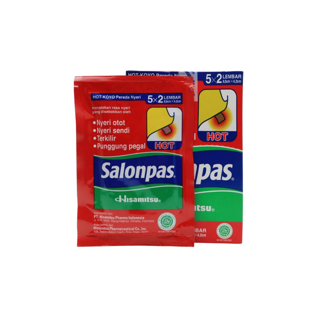 Jual SALONPAS 5 X 2 LEMBAR BOX 10 SACHET & JET SPRAY 118ML | Shopee ...