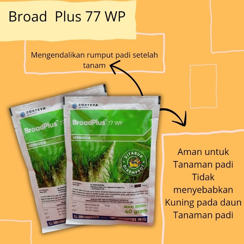 Jual Broad plus 40gr, obat rumput untuk tanaman padi | Shopee Indonesia