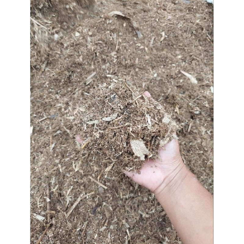 Jual Humus Bambu daun bambu Media Tanam Kering 1kg | Shopee Indonesia