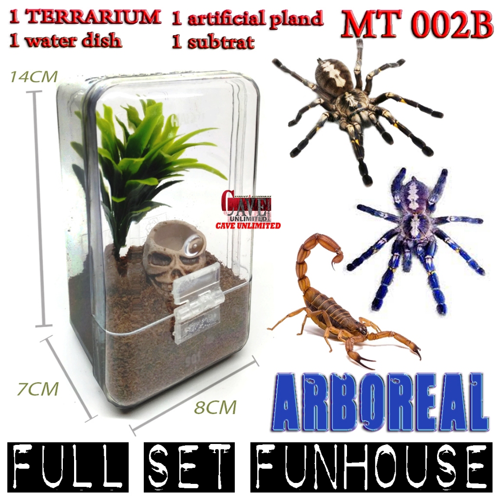 Jual MT002B FUN HOUSE FULL SET KANDANG AQUARIUM BOX KOTAK MINI BURROW ...