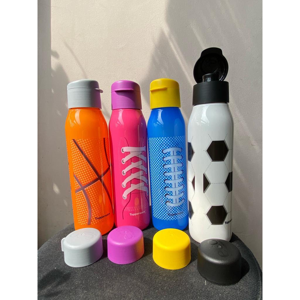 Jual botol tupperware,ECO fancy 500ml ECER | Shopee Indonesia