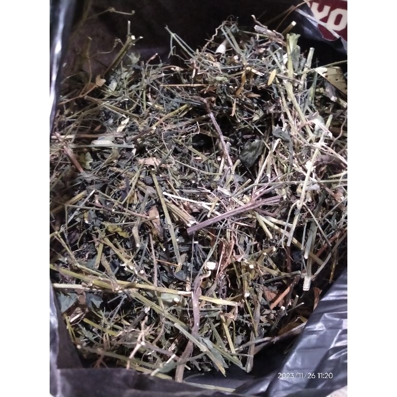 Jual Sambiloto Kering 250 gr - Daun Paitan | Shopee Indonesia