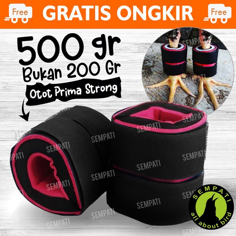 Jual M061 BARBEL AYAM JAGO ADUAN PAKET BEGEL AYAM BANGKOK 500 GRAM SATU ...