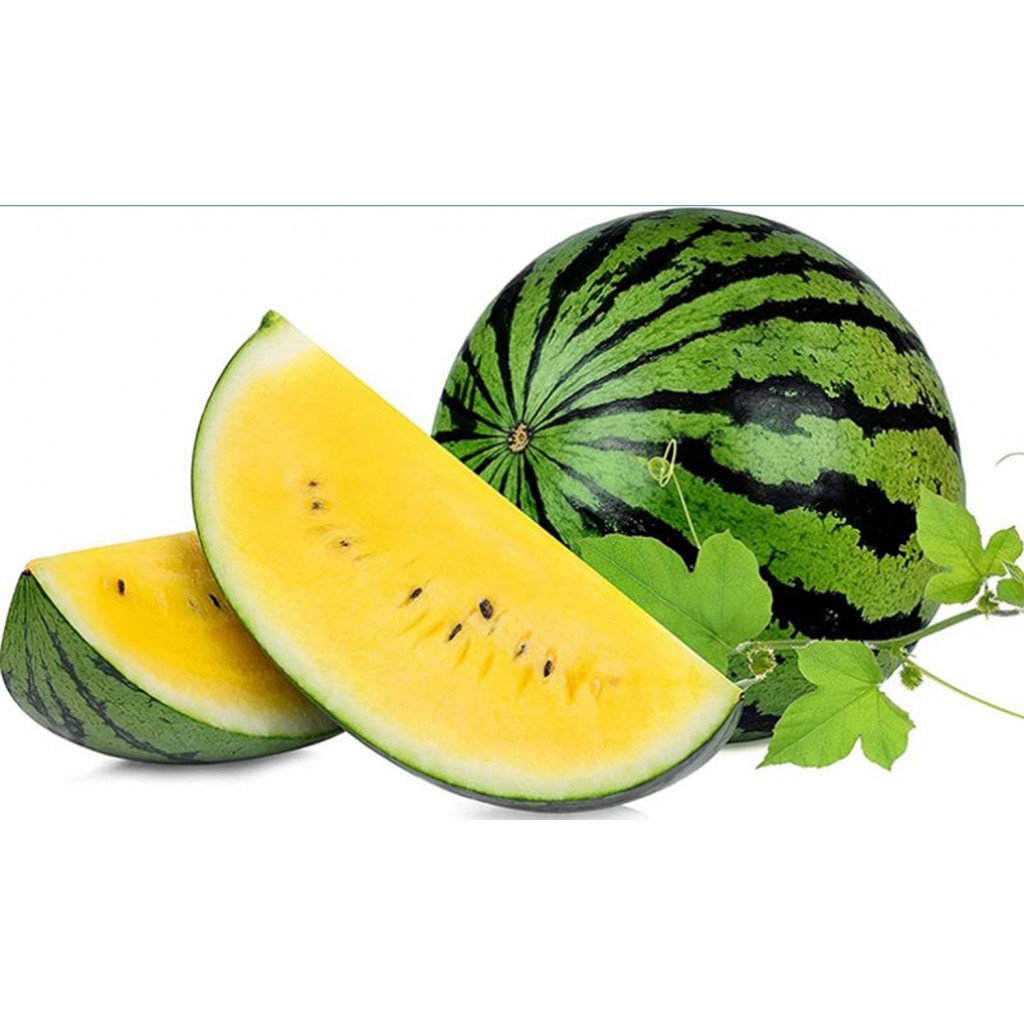 Jual Buah Semangka Kuning Bulat Utuhan (4-5kg), Ready Stock Sameday ...