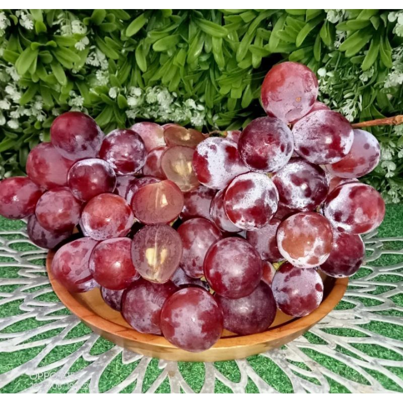 Jual Anggur Merah berbiji | Shopee Indonesia