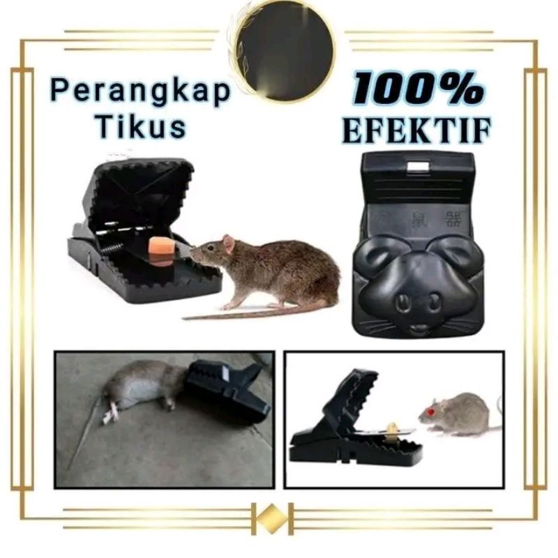 Jual perangkap tikus / jebakan tikus | Shopee Indonesia