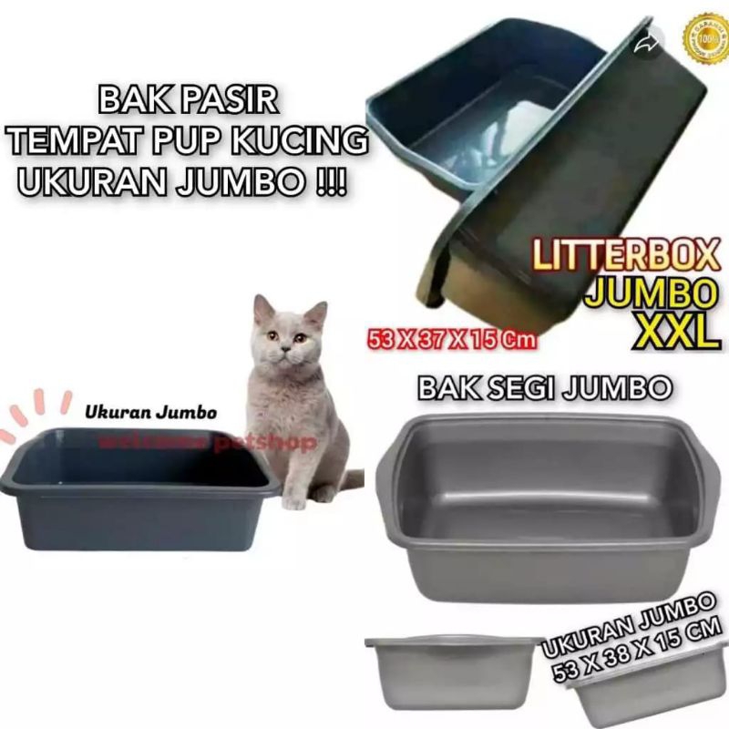 Jual Bak Pasir Kucing Segi Ukuran Jumbo XXL Tempat Kotoran Pup Kucing ...