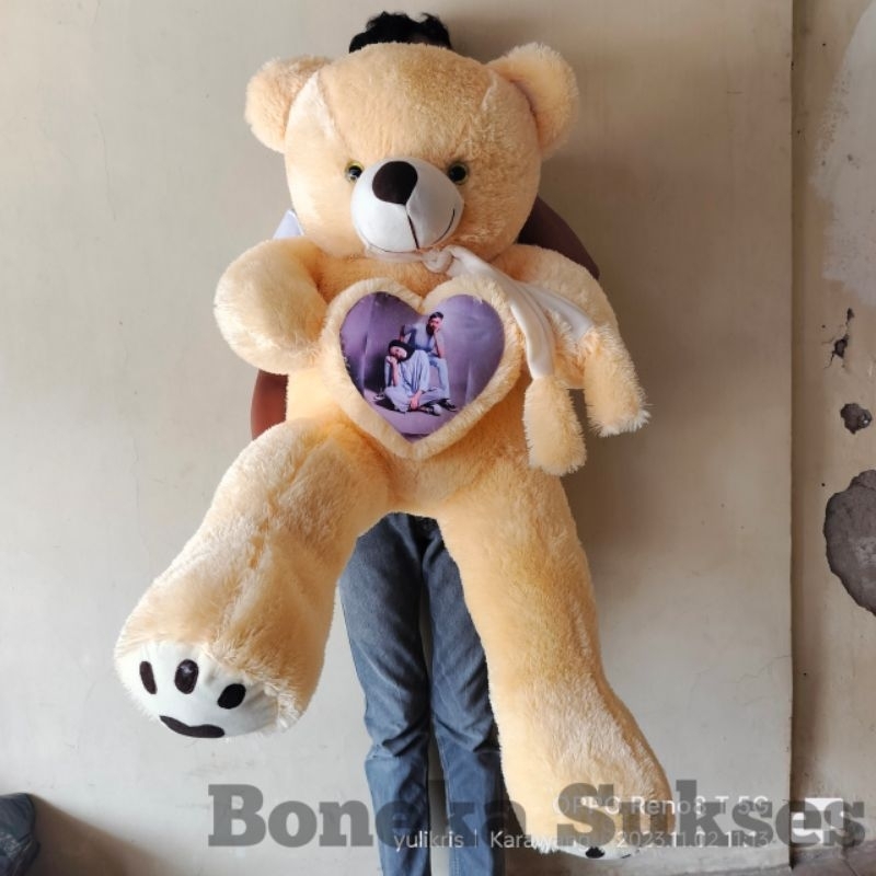 Jual Boneka Teddy Bear Syal 1,2 Meter Gratis Ukir Nama atau Print Foto ...