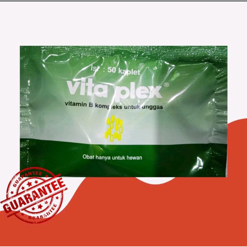 Jual VITA PLEX SACHET ISI 50 KAPLET VITAMIN B KOMPLEKS VITAPLEX UNGGAS ...