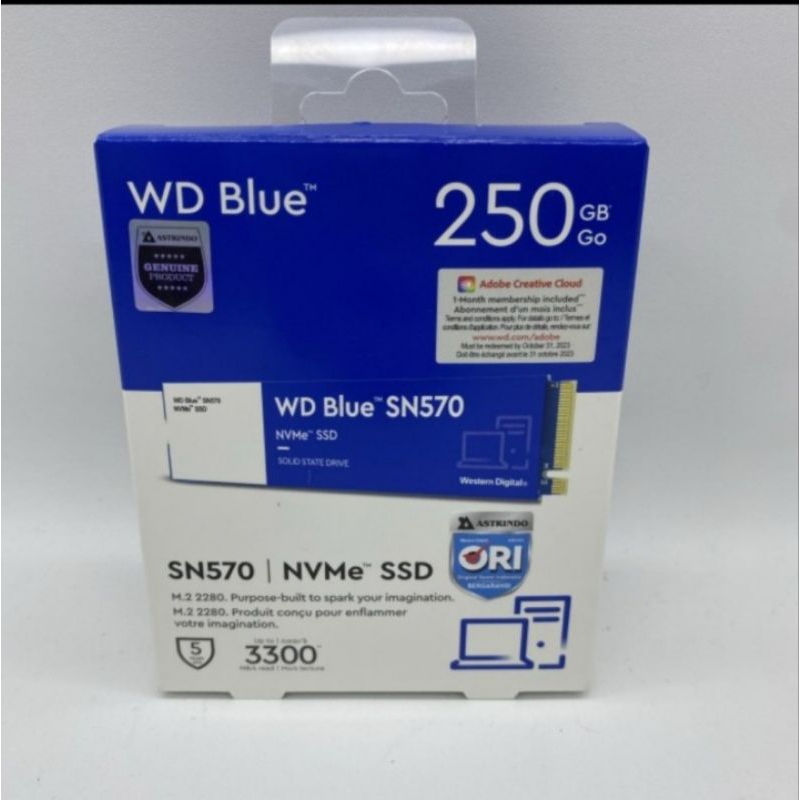Jual SSD WDC NVME 250GB RESMI | Shopee Indonesia