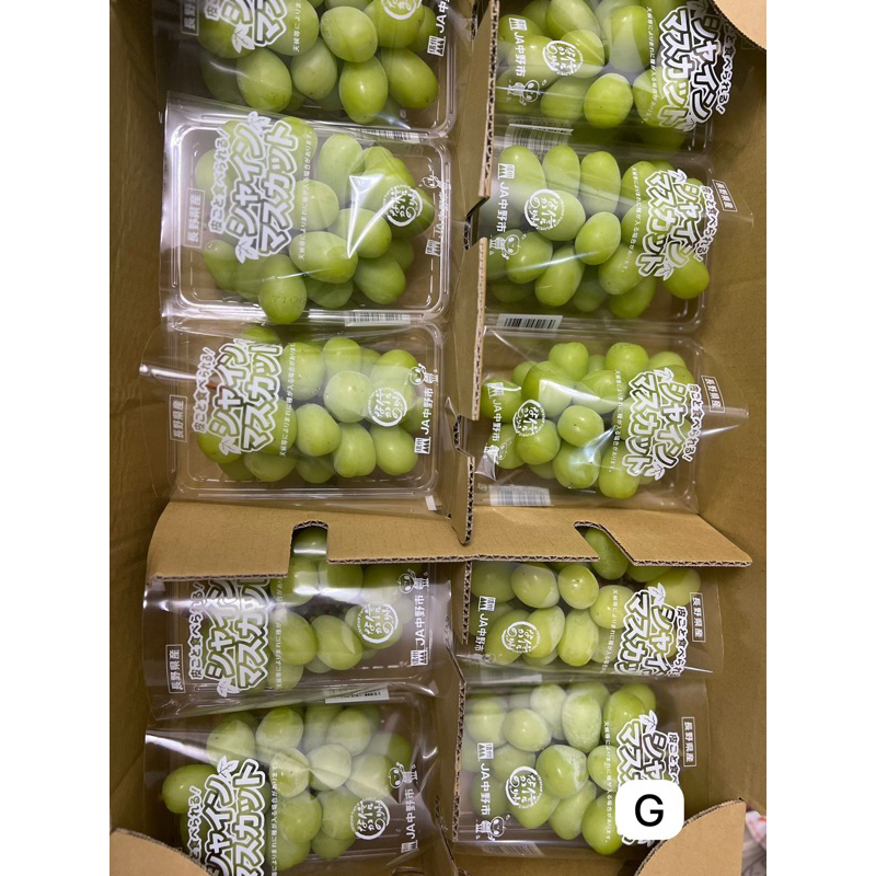 Jual NAGANO MUSCAT PACK JEPANG 🇯🇵 | Shopee Indonesia