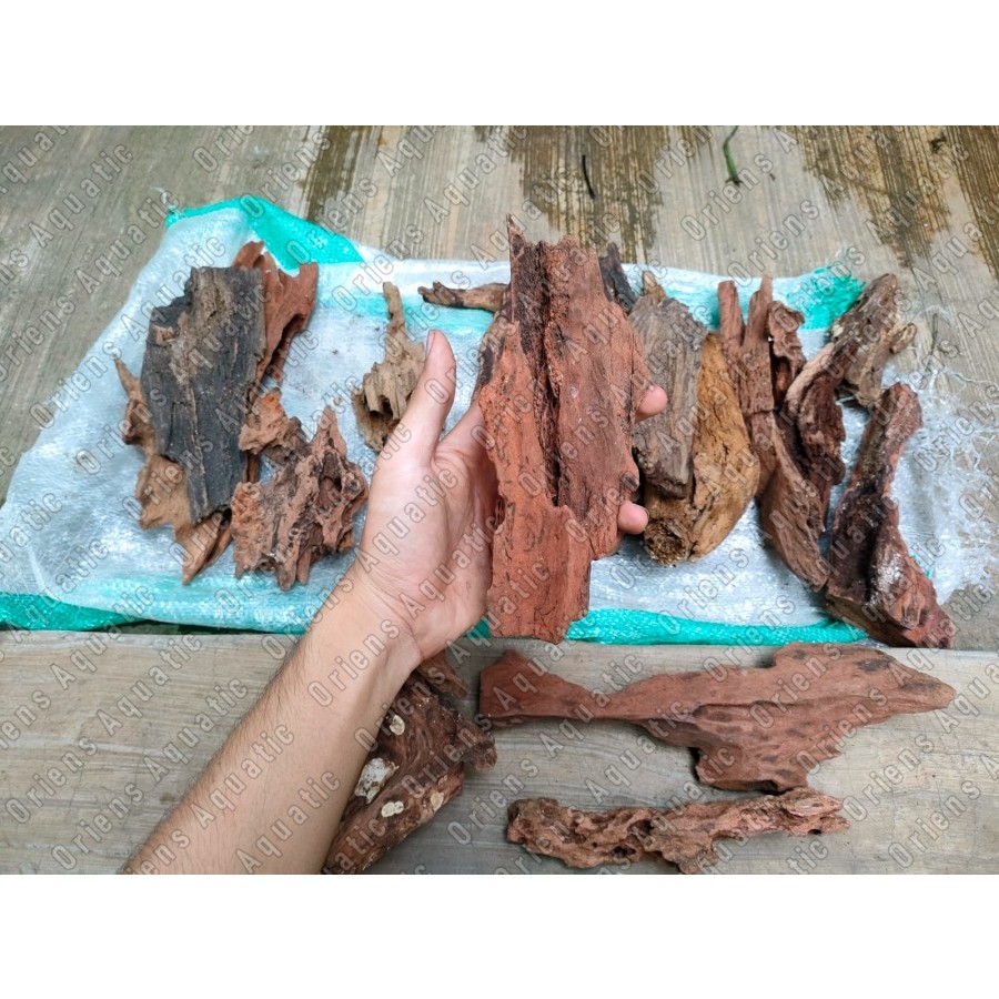 Jual Kayu Rentek / Akar Driftwood Aquascape Paludarium Aquarium ...