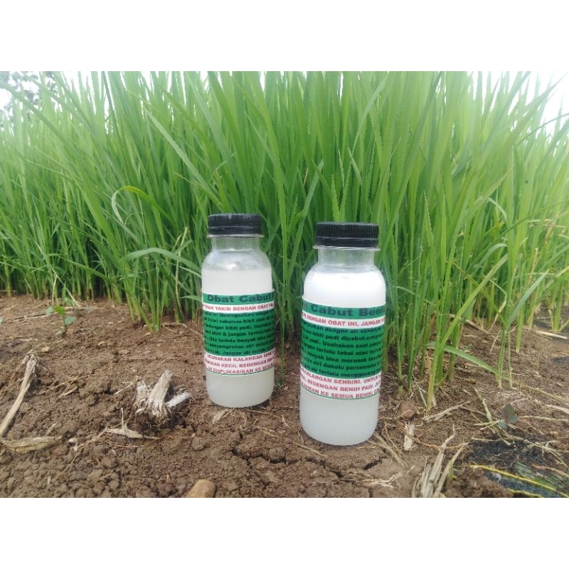 Jual Obat Cabut Benih Padi ( Obat Ndaut ) | Shopee Indonesia
