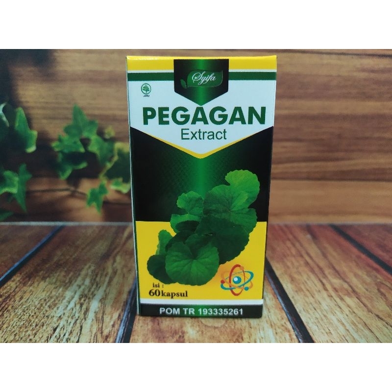 Jual Kapsul Pegagan Extract Syifa BPOM 60 Kapsul | Shopee Indonesia