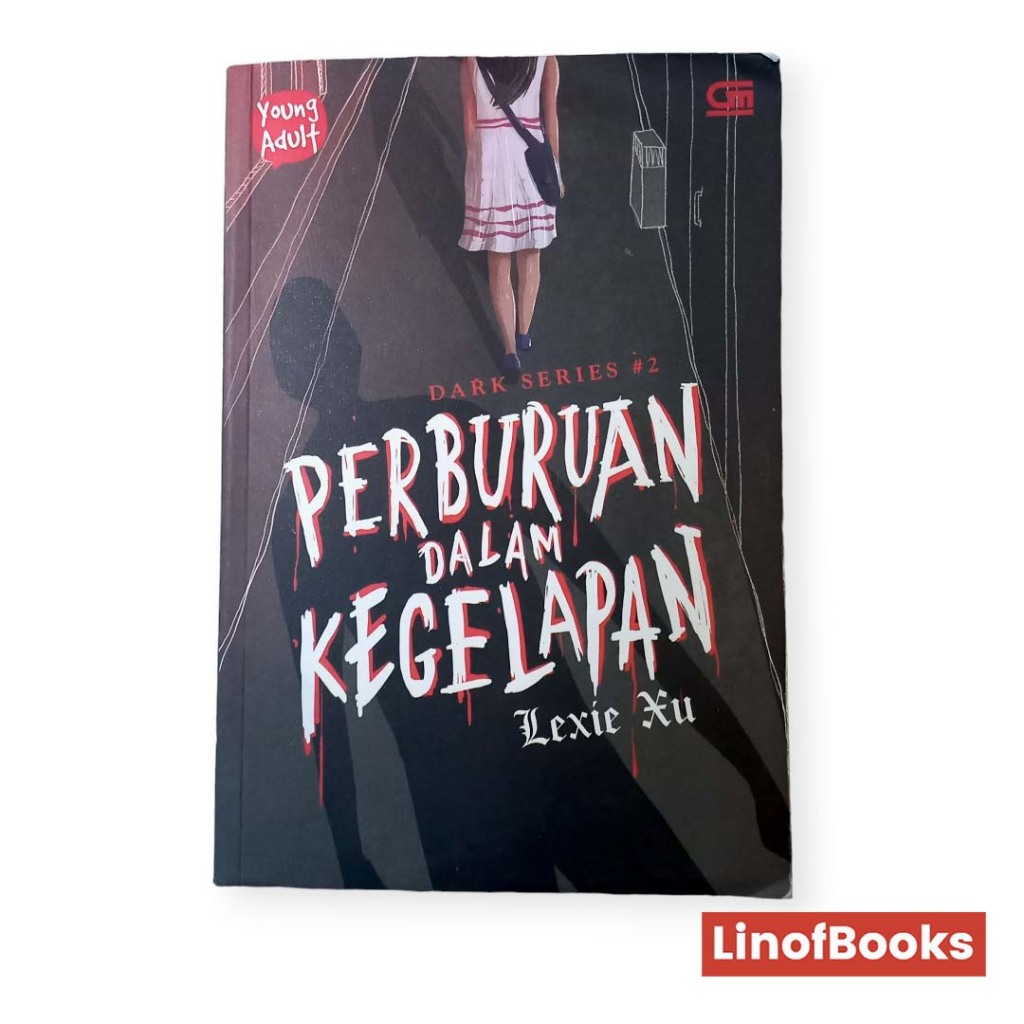 Jual Buku Novel Misteri Perburuan Dalam Kegelapan - Lexie Xu Original ...