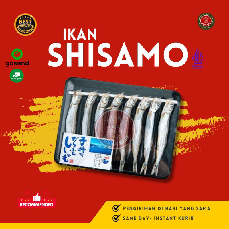 Jual (BISA INSTANT) Ikan Shisamo/Ikan Telur | Shisamo Fish | Ikan ...