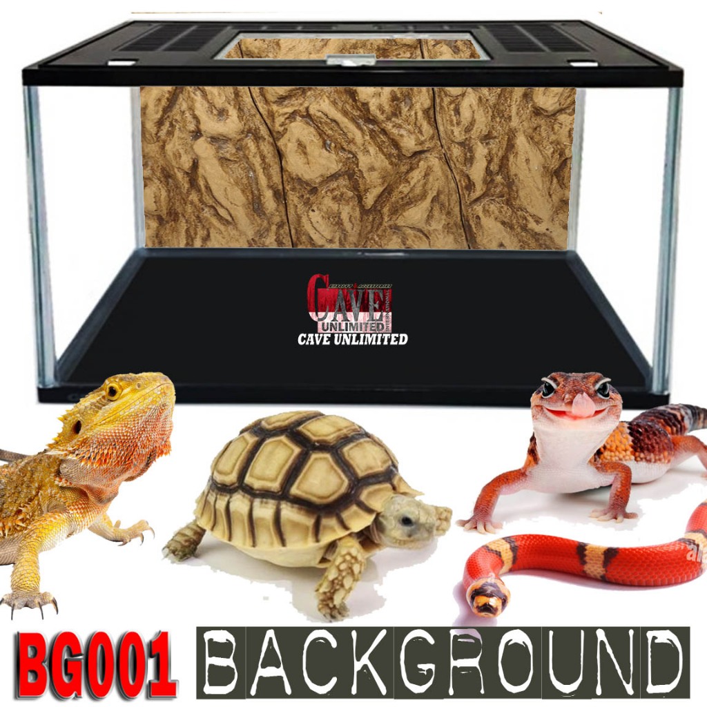 Jual BG001 BACKGROUND 3D BACKDROP DINDING LATAR BELAKANG TERRARIUM ...