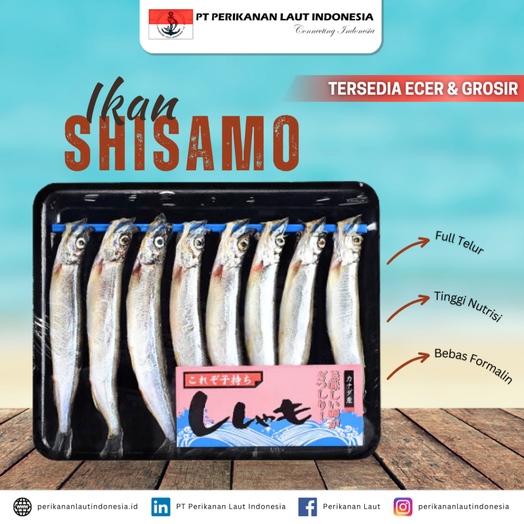 Jual [ECER] Ikan Shisamo | Capelin Fish | Betina 170gr - 200gr | Shopee ...