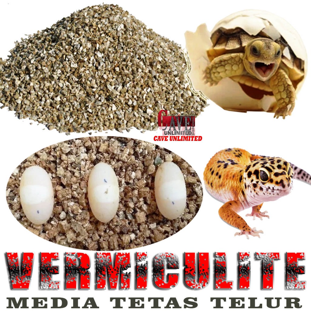 Jual VERMICULITE REPTILE MEDIA TETAS TELUR PENETASAN TELOR LEOPARD ...