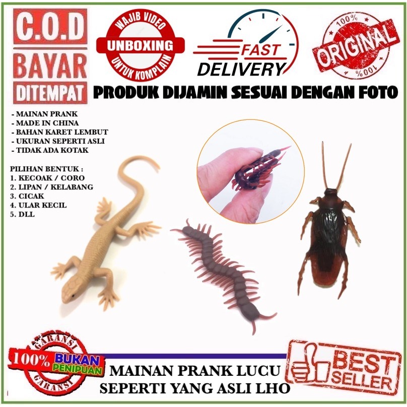 Jual MAINAN KECOAK KACOAK CORO PRANK COCKROACH CICAK LIPAN ULAR ...