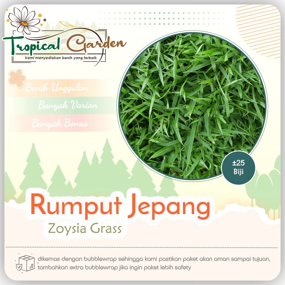 Jual Tropical Garden Benih Biji Rumput Zoysia Japonica Benih Rumput ...