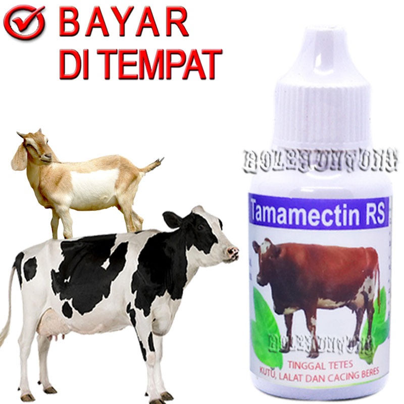 Jual TAMAMECTIN RS OBAT KUTU TETES SAPI KERBAU KAMBING DOMBA PEMBASMI ...