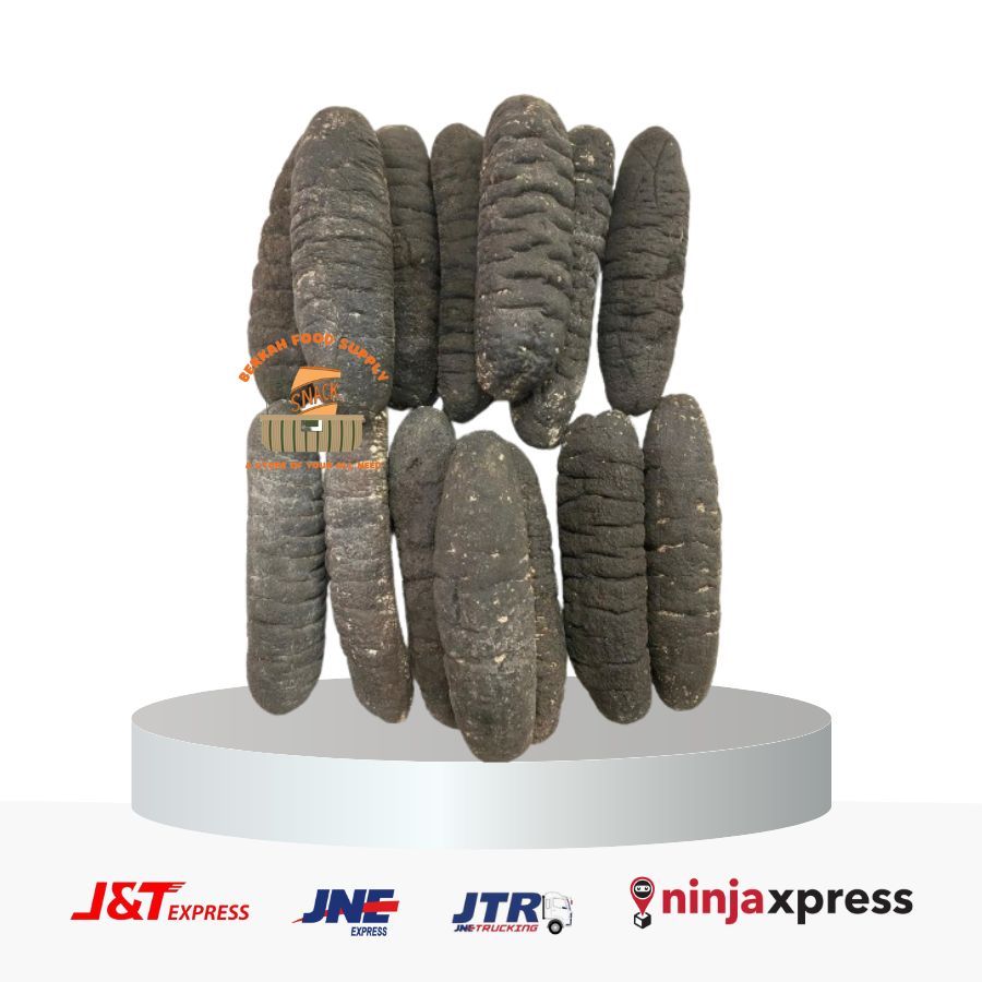 Jual Haisom Asli Belitung isi 15pcs 1KG / Teripang / Hoisem / Lintah ...