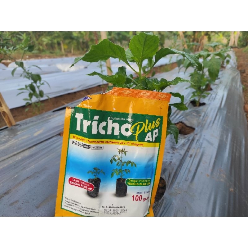 Jual Tricho Plus Tricoderma Fungisida Hayati | Shopee Indonesia