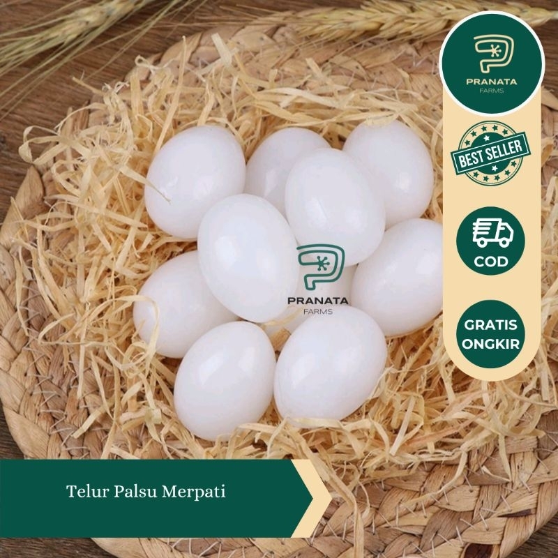 Jual Telur Burung Merpati Palsu, Telur Pengganti Mencegah Burung Stress ...