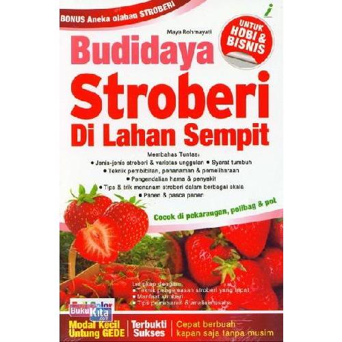 Jual Buku Budidaya Strobery Di Lahan Sempit-infra pustaka (full color) | Shopee Indonesia