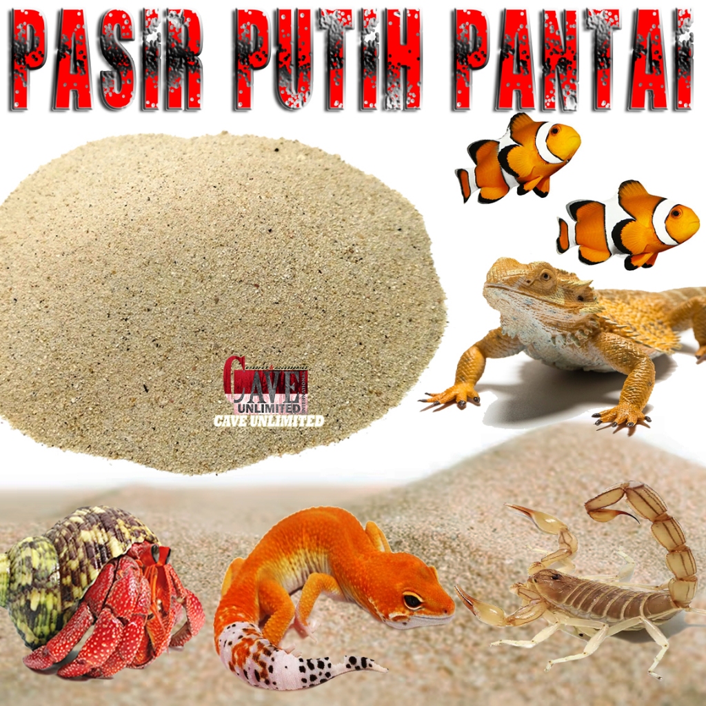 Jual PASIR PUTIH PANTAI AIR LAUT MARINE MEDIA ALAS SUBSTRAT AQUARIUM ...