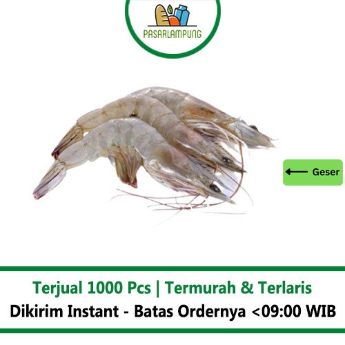 Jual Udang Segar Pasar Lampung | Shopee Indonesia