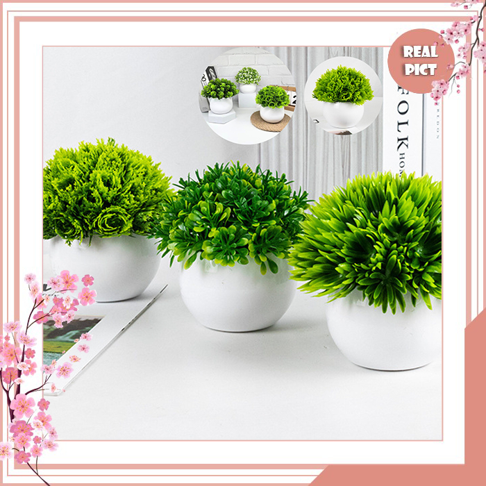 Jual UNICO Pot Bunga Plastik Hias Mini Import Termurah Bunga Rumput ...