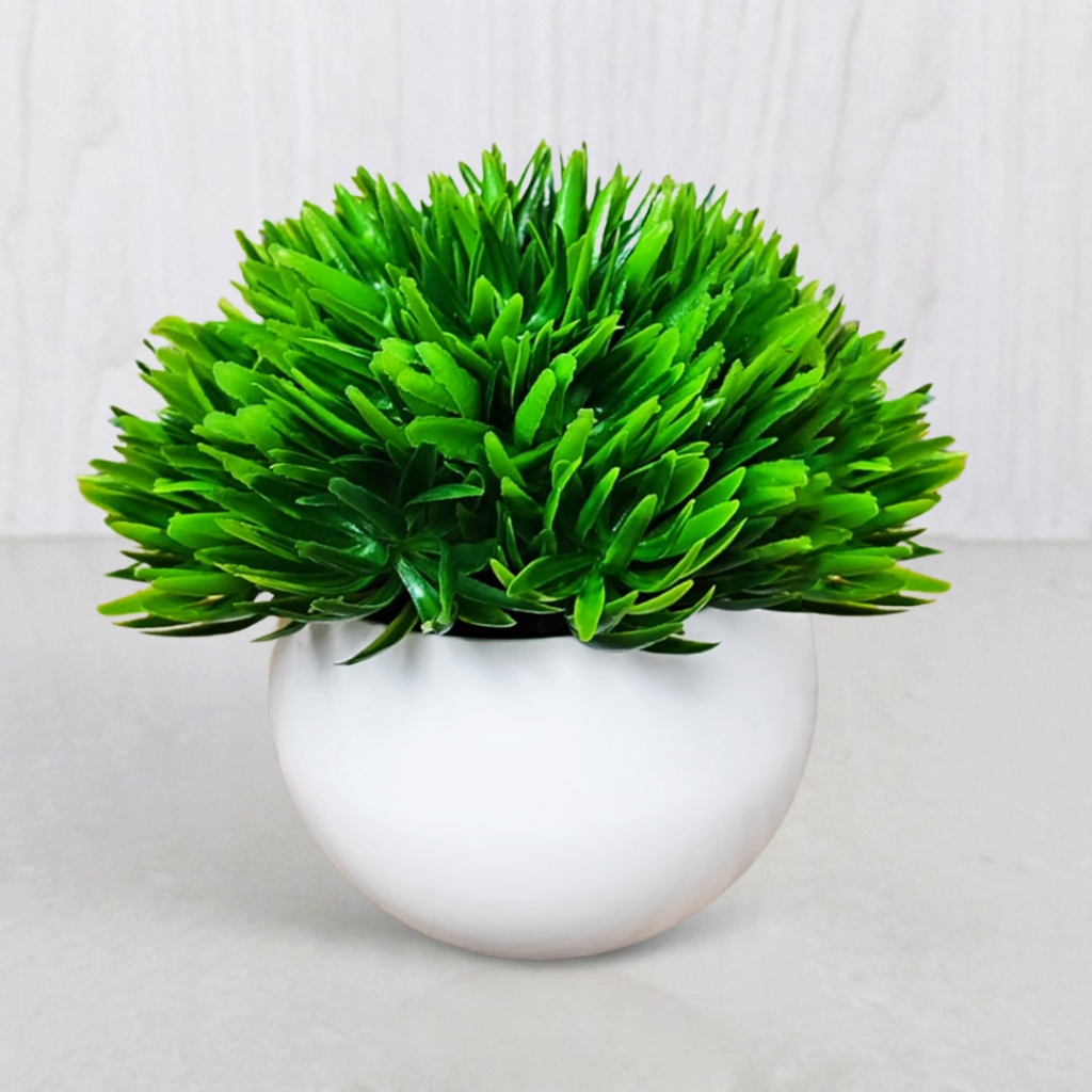 Jual UNICO Pot Bunga Plastik Hias Mini Import Termurah Bunga Rumput ...