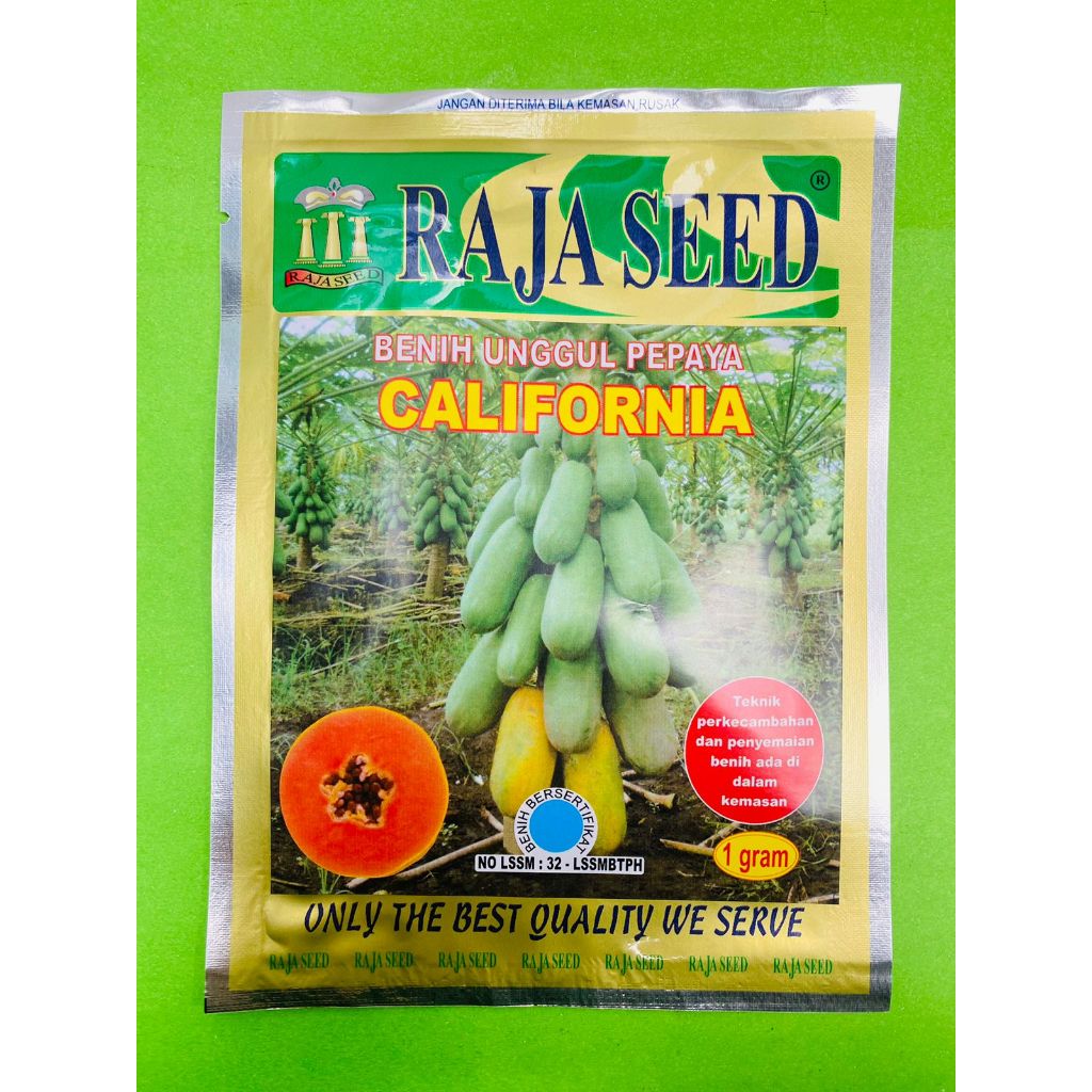 Jual Benih Pepaya CALIFORNIA 1gr Merk Raja Seed | Shopee Indonesia