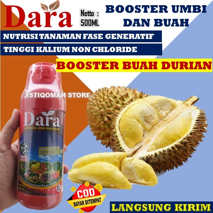 Jual Booster Buah Durian Super Lebat DARA 500ML Pupuk Pelebat Buah Durian Terbaik Meningkatkan ...