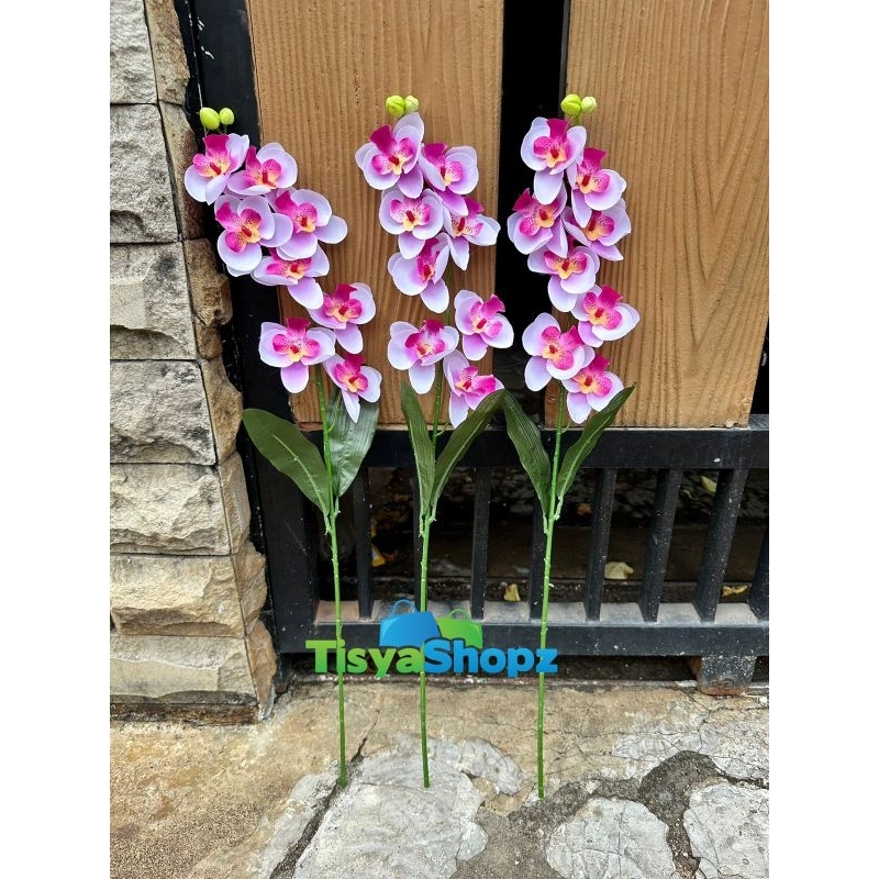 Jual Bunga Anggrek Bulan X8 Tinggi 68 cm | Shopee Indonesia