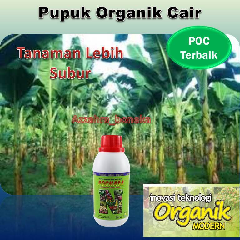 Jual Pupuk Organik Cair Untuk Tanaman Pisang / Booster Tanaman Pisang / Pupuk Penyubur Pohon ...