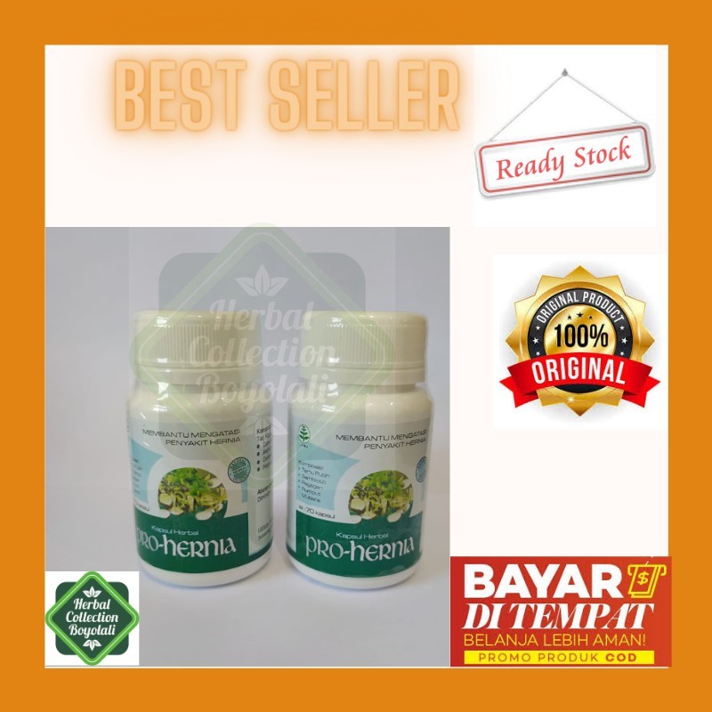 Jual Obat herbal hernia atau turun bero dengan kapsul pro hernia ...