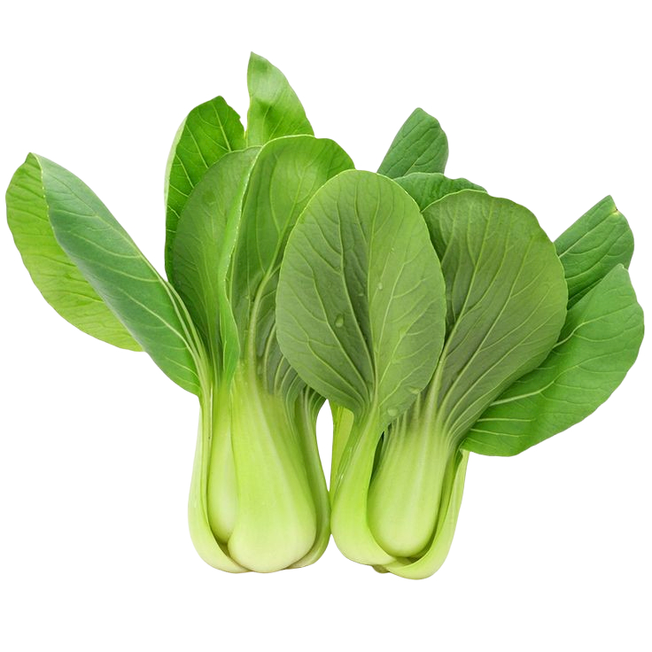 Jual Pakchoy Besar Hydroponic 300gr, Pakcoy, Sayur Sehat, Sayur Segar ...