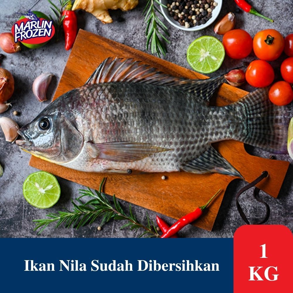 Jual Ikan Nila Segar 1Kg Isi 7-8 Ekor / Ikan Mujair Fresh Sudah Bersih ...