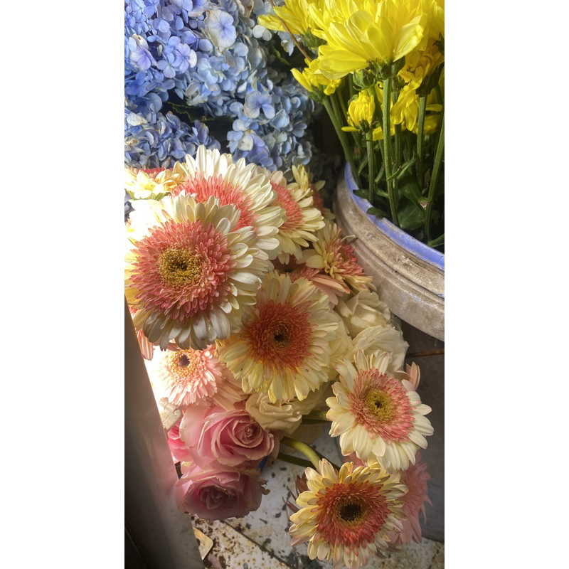 Jual (Kode Gabriella) Bunga Asli KHUSUS JABODETABEK Bouquet bunga ...