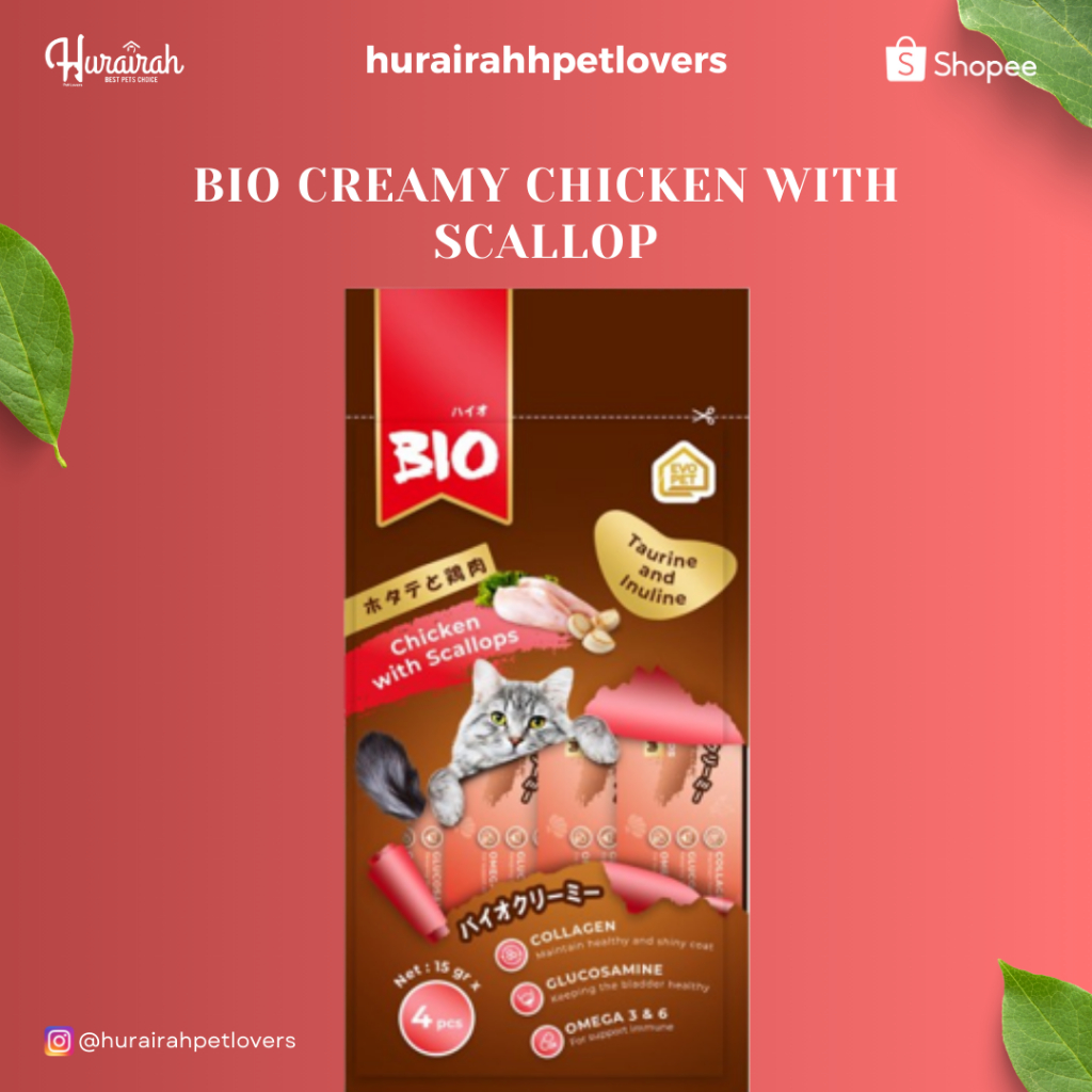 Jual BIO CREAMY CHICKEN WITH SCALLOP | Shopee Indonesia